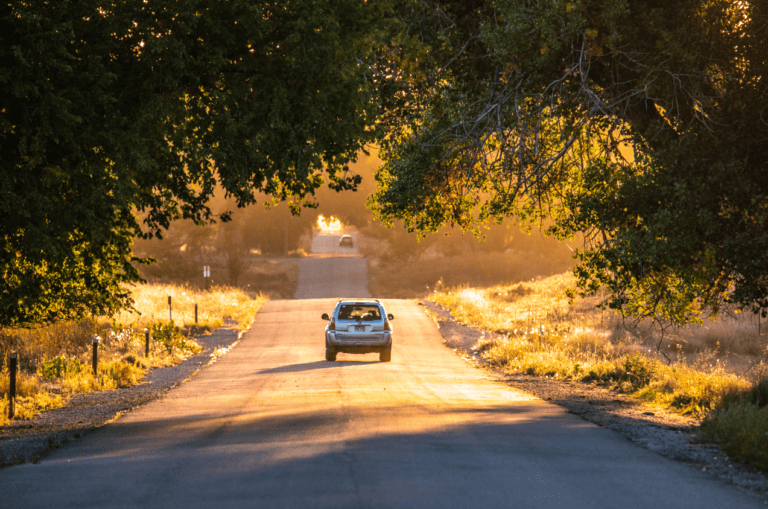 Summer Driving Tips: Let's Keep Roads Safe for the End of Summer ...